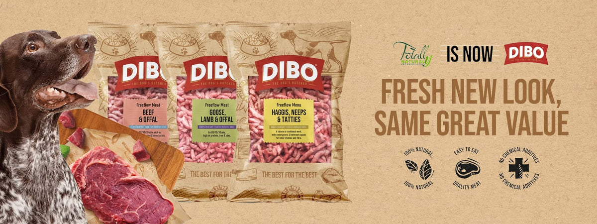 DIBO Raw Dog Food – Animal Station Ltd