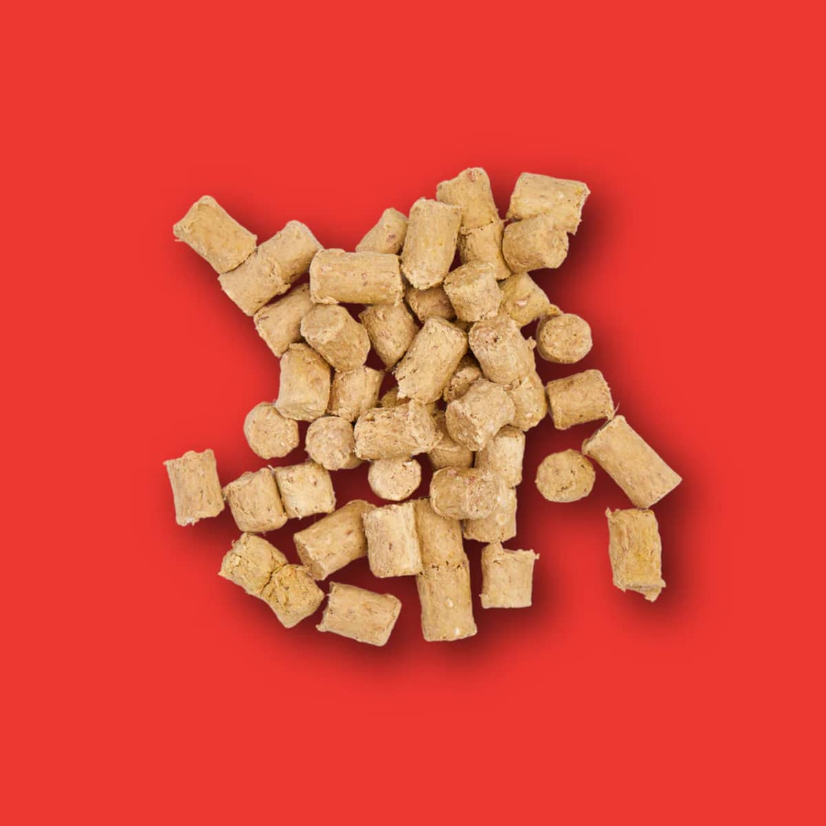 Nutriment Freeze Dried Treats Beef 30g – Animal Station Ltd