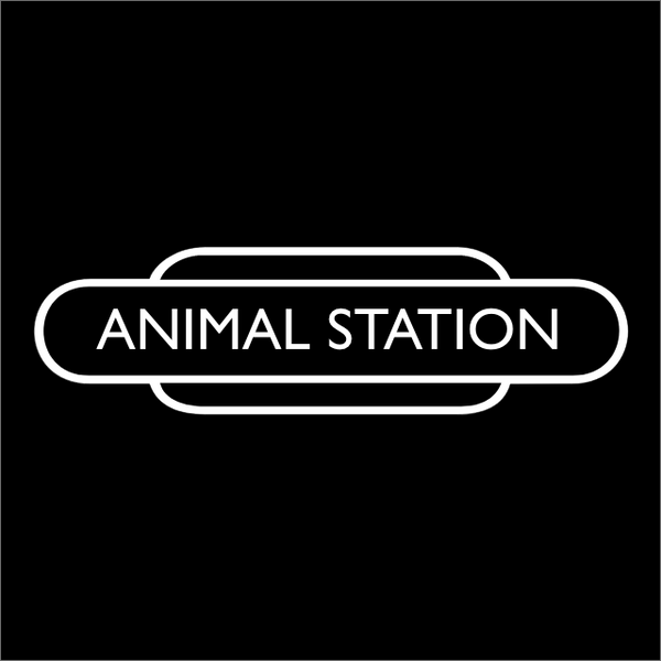 Animal Station Linwood | Dog & Cat Food, Toys & more | Local Delivery ...