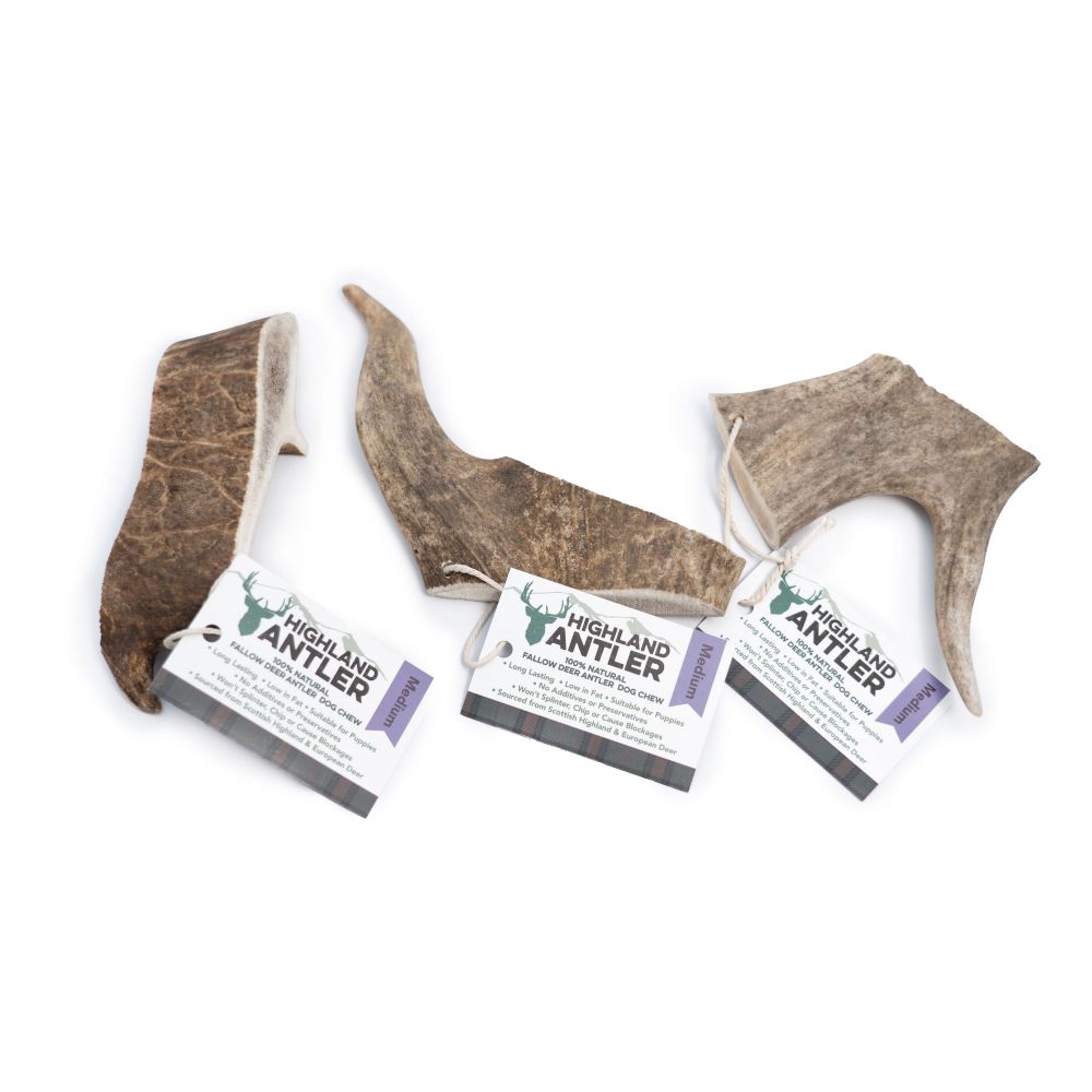 Antos Highland Antler Fallow Medium – Animal Station Ltd